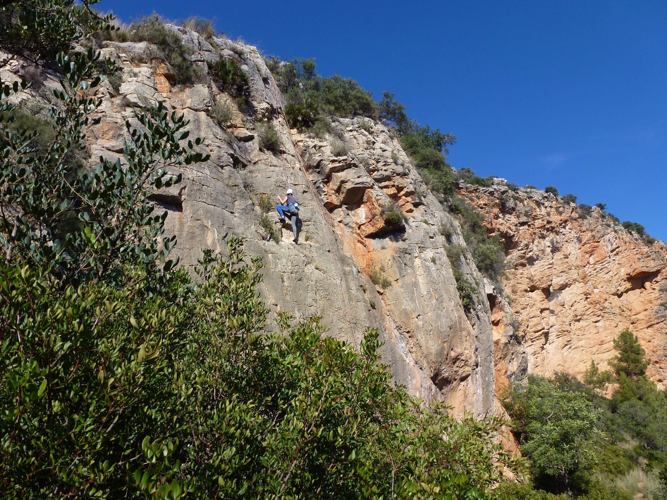 Get to know team Enviral: Jo - Enviral