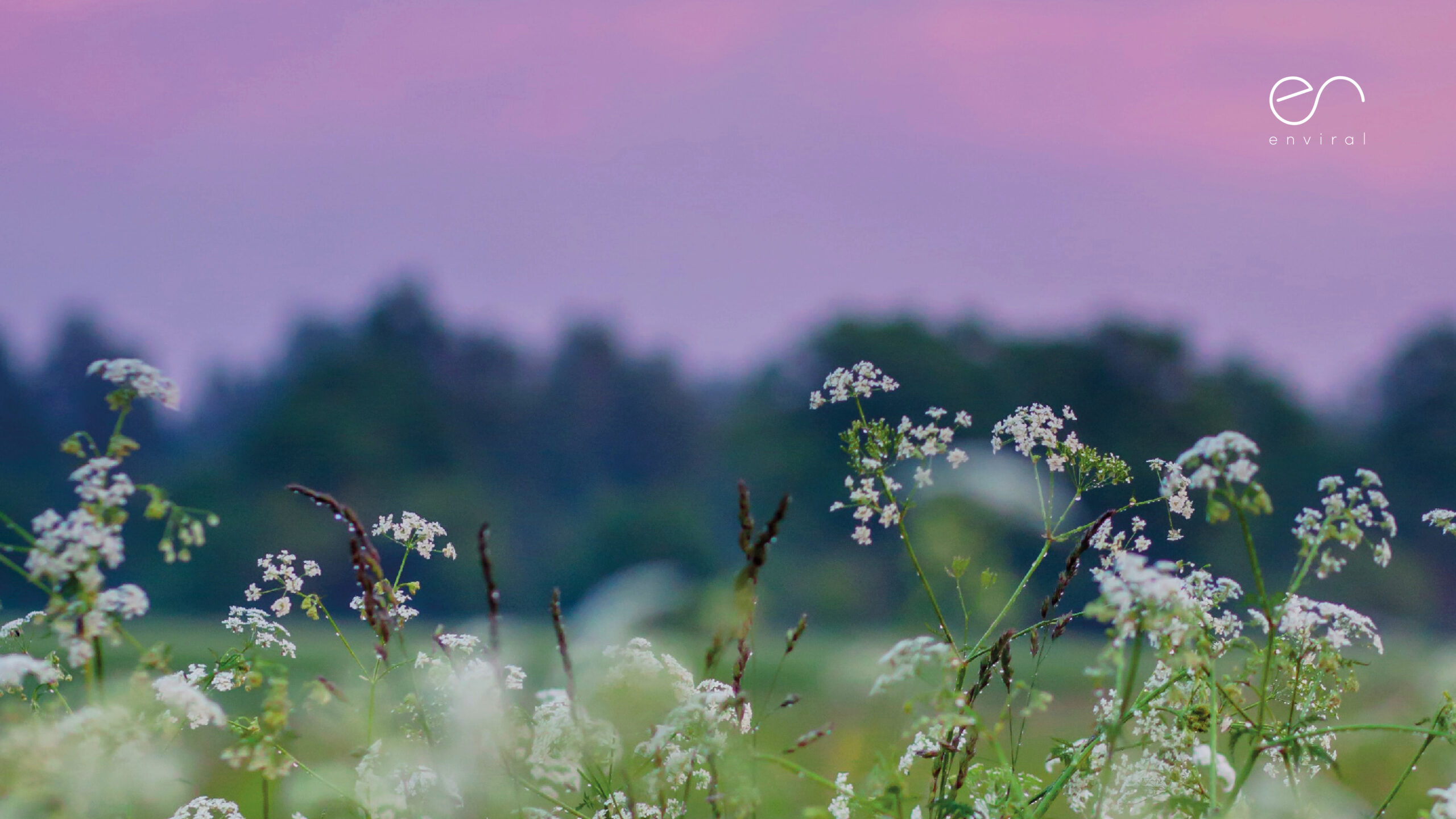 How can businesses step up to support nature recovery? - Enviral