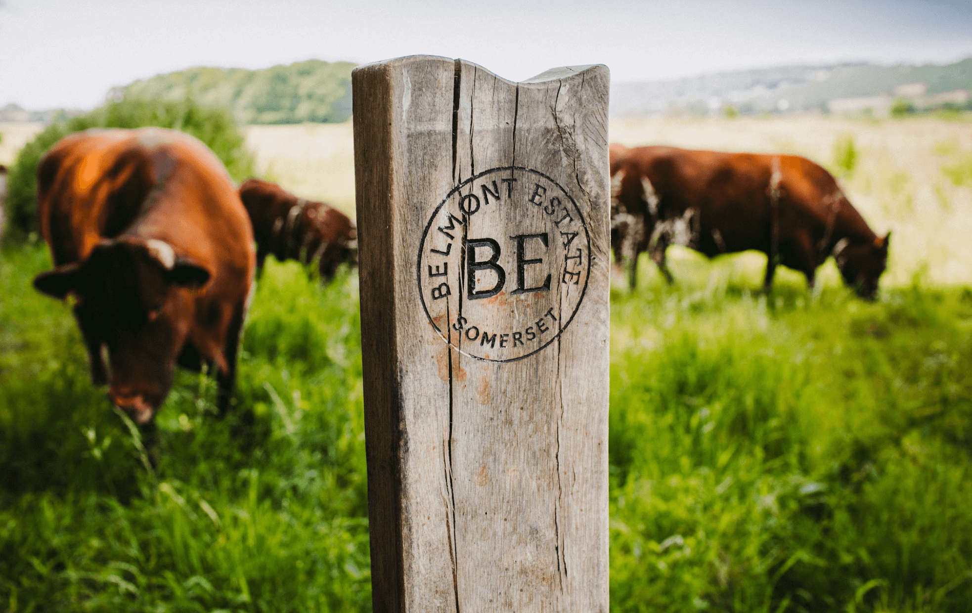 Belmont Estate - Enviral